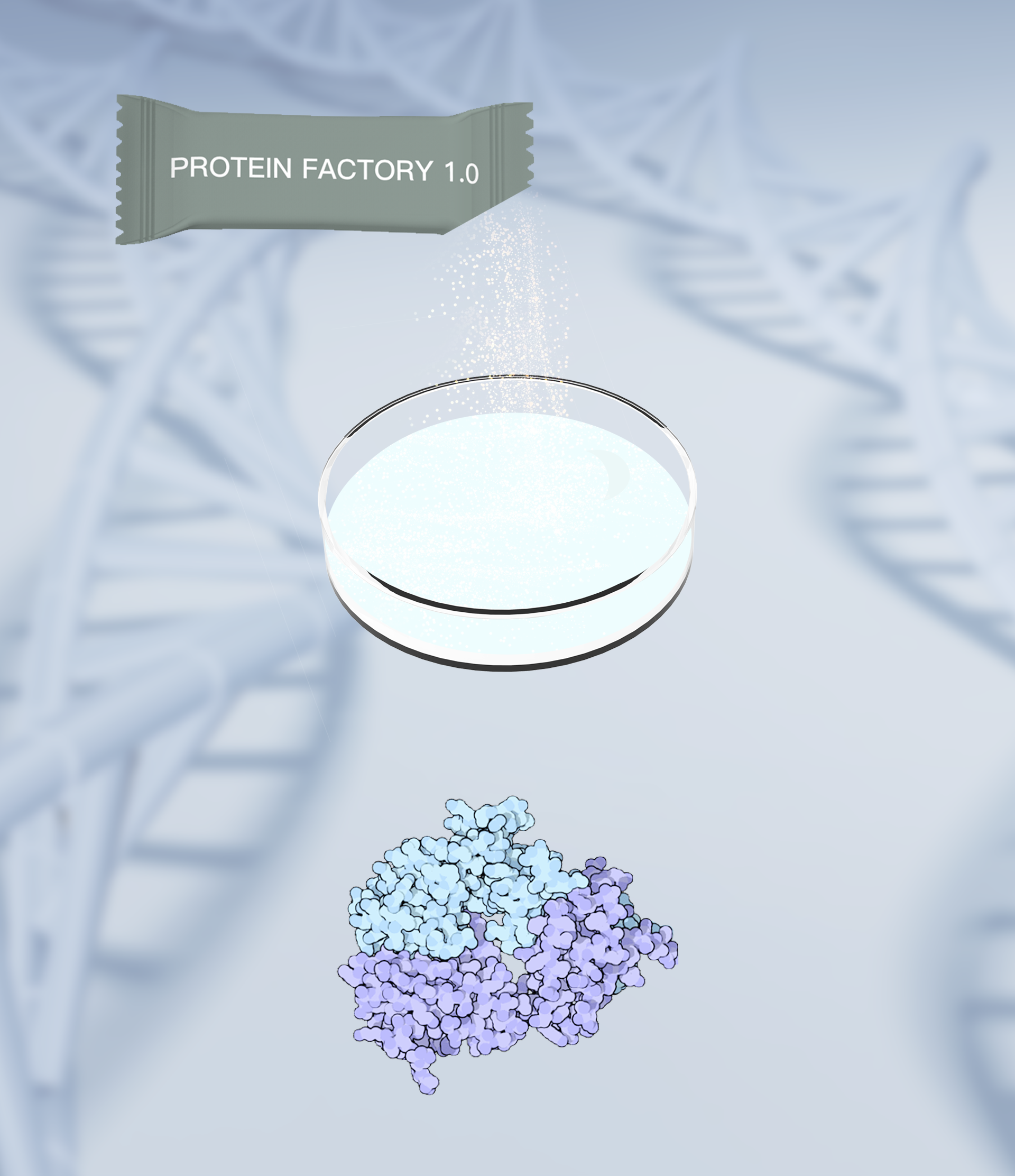 OurProteinFactory