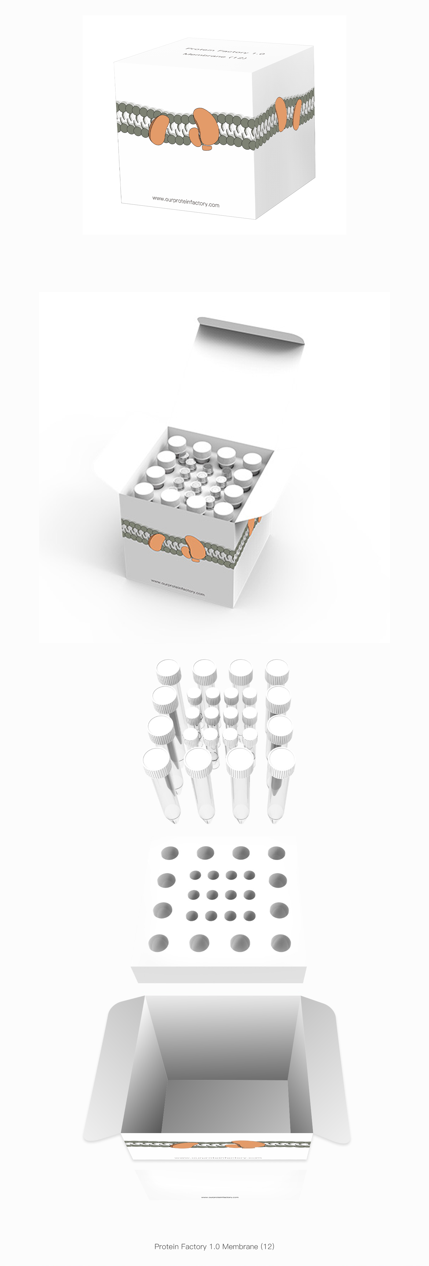 OurProteinFactory
